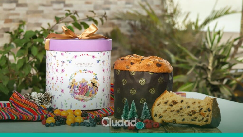Morandina lanza novedoso panetón navideño con berries andinos y chispas ...